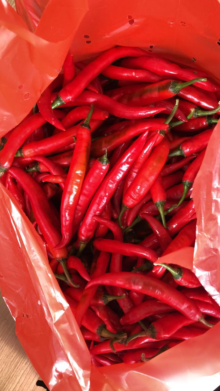 Cili Merah Kulai Berkualiti Tinggi | Cili Johol